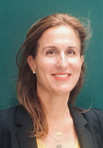 AU Group Structured Solutions & Political Risks | AU Group